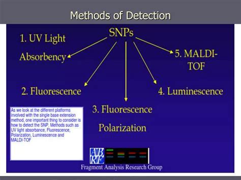 Single Nucleotide Polymorphism Snp Ppt Chemistry Science