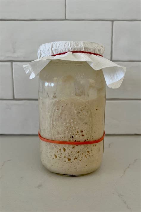How Does Sourdough Starter Work [science Of Sourdough] The Pantry Mama