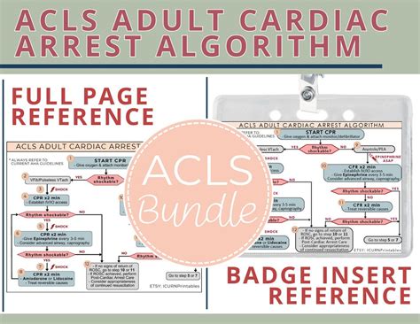 Acls Adult Cardiac Arrest Algorithm Reference Sheet And Badge Insert Printable Pdf Download Etsy