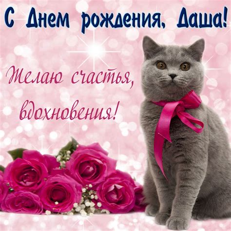 Открытка на День рождения Даше милый серый котик с розовым бантом