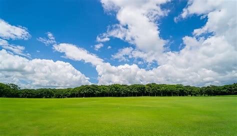 Page 12 Hdr Grass Images Free Download On Freepik