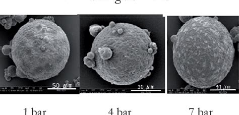 Figure 1 From Pe Wax Microparticle Production By External Mixing Two Fluid Nozzle Atomization