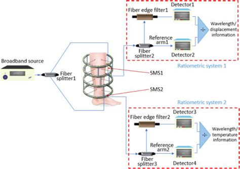 Schematic Of The Sms Interrogation System Using A Macrobending Fiber Download Scientific