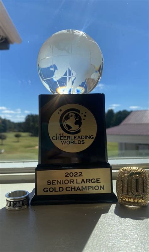 Pin By Madi🌞 On Cheer All Star Cheer Cheer Stunts Cheer Award