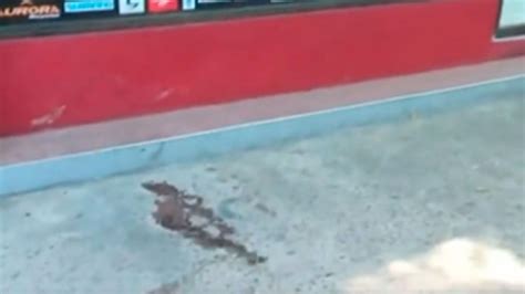 Palermo Asesinaron De Un Tiro En La Cabeza A Un Joven Para Robarle El