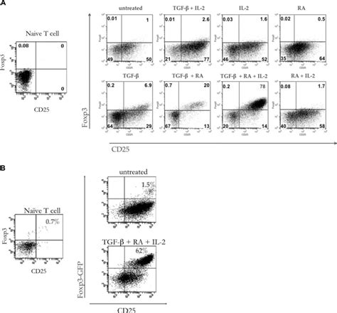 De Novo Allospecific Treg Cells Are Generated By Tgf β Il 2 And