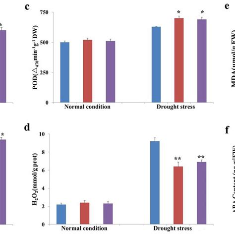 Detection Of ROS Scavenging Capability Reactive Oxygen Species ROS Download Scientific