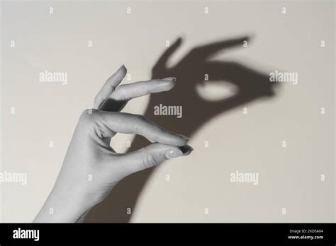 Shadow Puppet Woman Making Hand Gesture Like Llama On Light Background