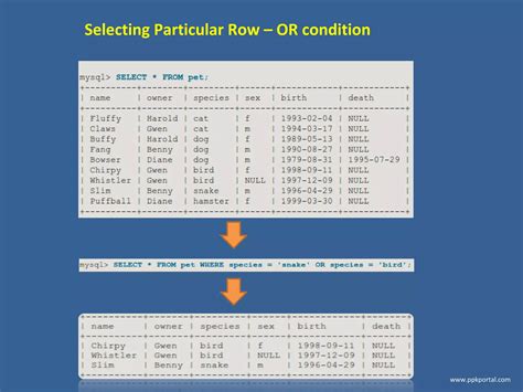 Mysql Tutorial Commandspart1 Ppt Databases Computer Software And