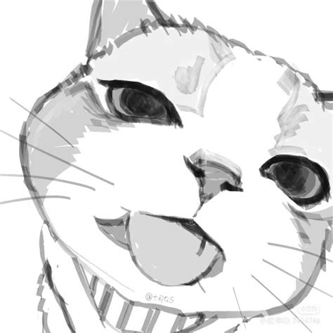 A Black And White Drawing Of A Cats Face