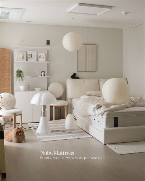 헤이미쉬정희 🌸 40평대 거실인테리어 화이트우드인테리어 제품협찬 ☑️ 생각해보니 9살 견생동안 첫 집은 아니더라구요 헤헷🩶🏠 어릴적 처음 데리고 왔을때 쇠 펜스랑