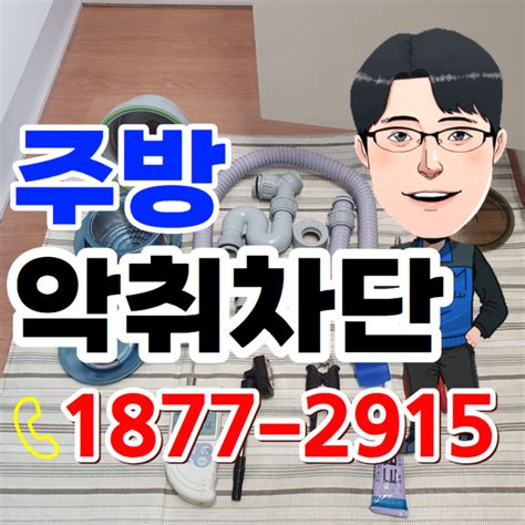 싱크대 하부장 냄새 주방 하수구 트랩 설치 업체 방문 비용 네이버 블로그