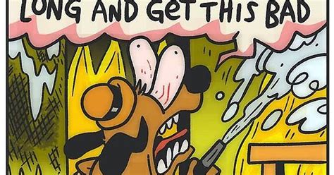 Here Are The Accusations Made Against Al Franken So That You Can Have A