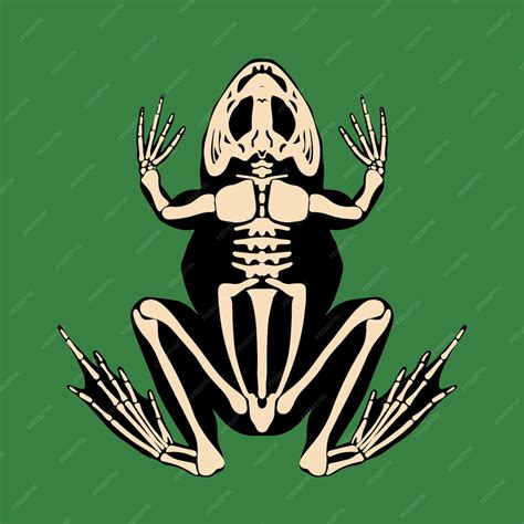 Premium Vector Frog Skeleton Vector Illustration In A Flat Cartoon