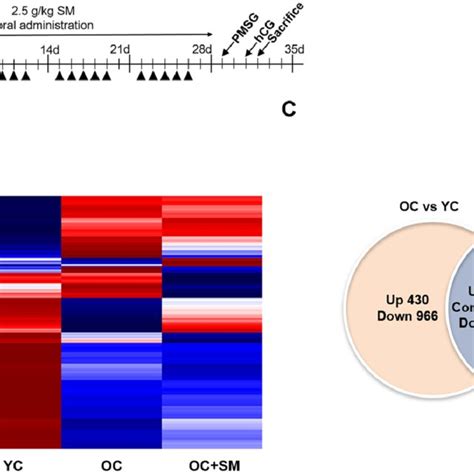 hierarchical clustering and analysis of differentially expressed