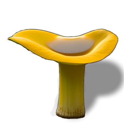 Mushroom · Issue 1863 · I Am Erkcdda Tilesets · Github