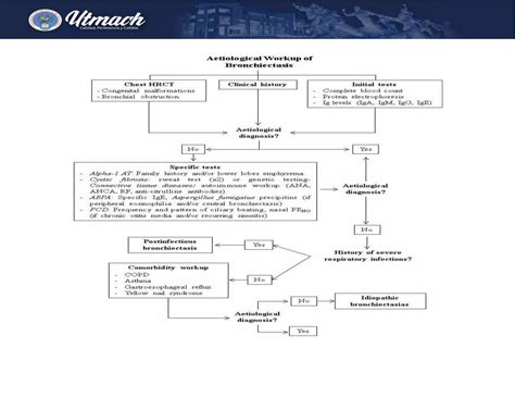 Bronchiectasis Algorithm Ppt