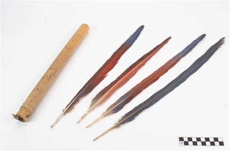 Feather Casebox And Feather Smithsonian Institution