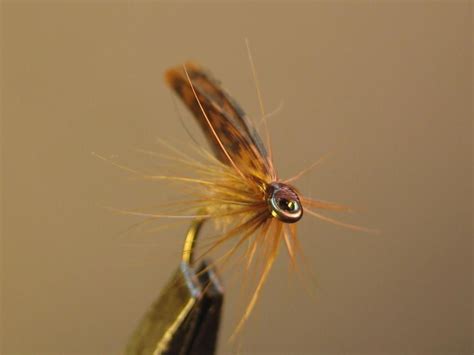 Pin By Mario P On Pesca Hares Ear Fly Tying Patterns Fly Tying