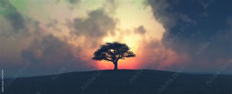 Sunset And Tree Stock Photo Adobe Stock