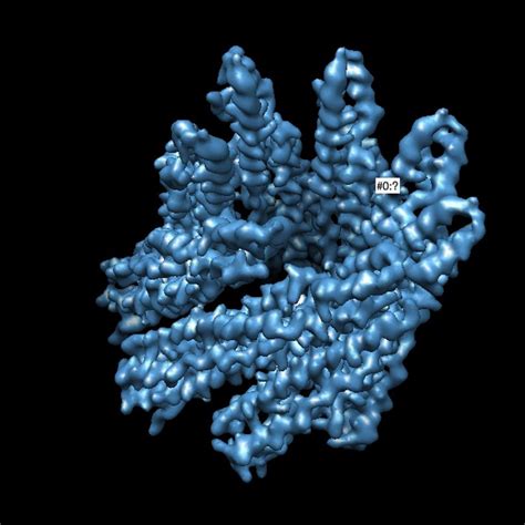 Single Particle Reconstruction Of Biological Macromolecules In Electron Microscopy Epfl