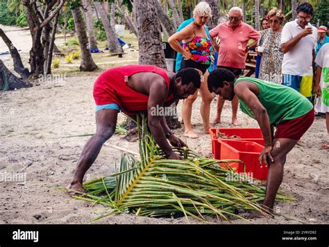 Fijian Men Preparing A Lovo Or Earth Oven For Cooking A Traditional