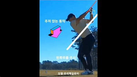 로리맥길로이 스쿼트자세 분석 골프스윙 드라이버스윙 왼손골프 왼손골퍼 좌타골프 Shorts Youtube