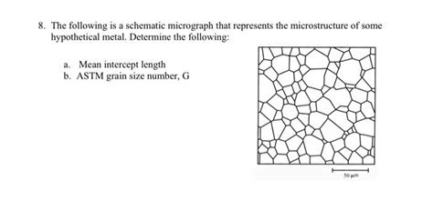 Solved The Following Is A Schematic Micrograph That