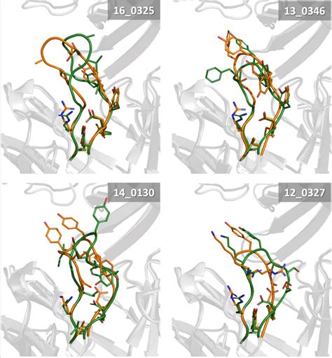 Antibodyantigen Binding Affinity Scoring Protocol The Antibodies With