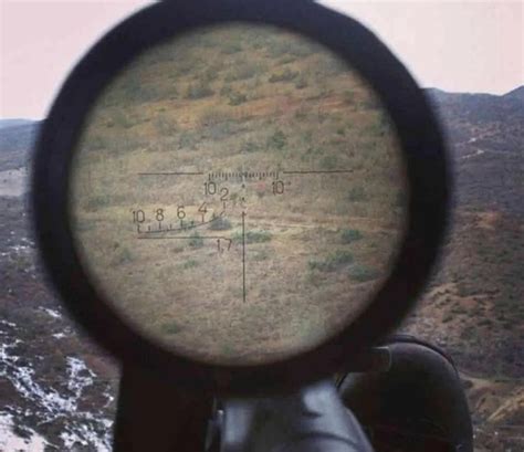 Choosing A Rifle Scope At What Distance Should I Use Different Magnification Levels Foreseen