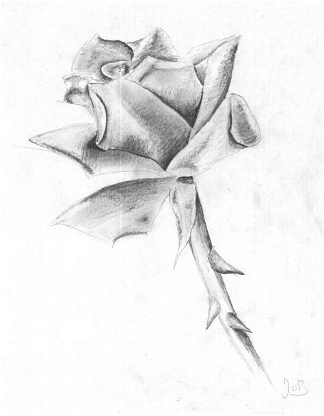 Pencil Rose By Zelbear On Deviantart Pencil Drawings Art Drawings