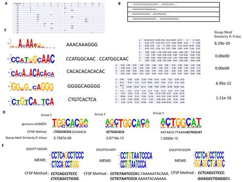 Cfsp A Collaborative Frequent Sequence Pattern Discovery Algorithm For Nucleic Acid Sequence