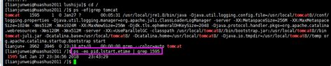 Linux新手如何学习linux命令（常用选项） Linux命令大全手册