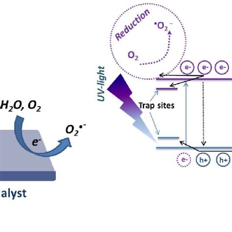 Scheme Of The Photocatalysis Principle 21 Download Scientific Diagram