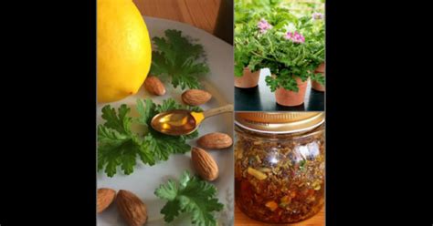 400 г мед 20 листа индрише и 20 бадема Запомнете тази рецепта от Петър Димков лекува най