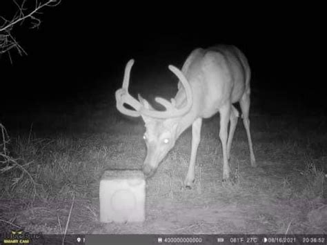 No More Guesswork Wise Eye Data Cam