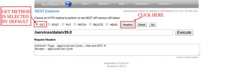 How To Run REST API Through Workbench Salesforce