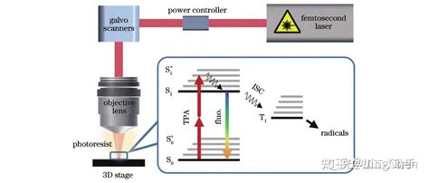 双光子3d打印 双光子3d打印技术介绍 知乎