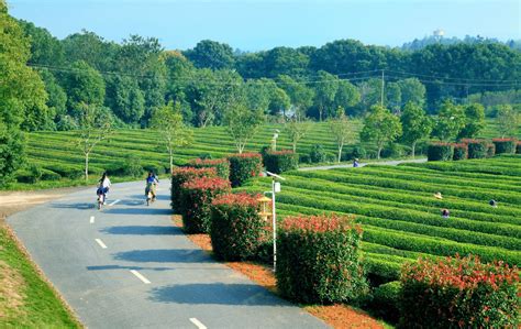 2025凤凰沟游玩攻略 黄马凤凰沟风景区是集采摘 去哪儿攻略