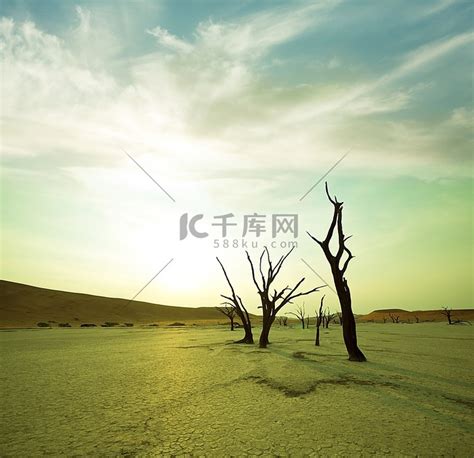 纳米比亚的死亡谷天空雪树银花高清摄影大图 千库网