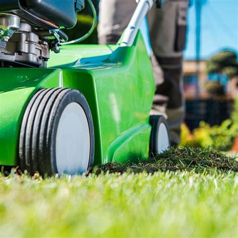 7 Tips For Lawn Care In Southern California Eco Gardeners