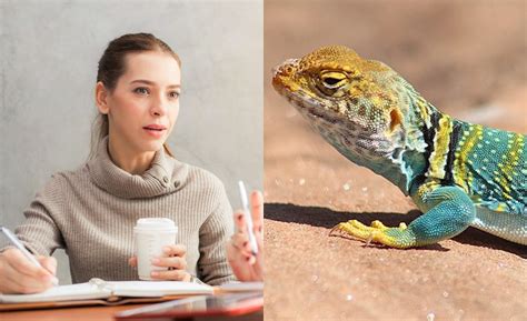 Reductress Woman In Meeting Wishing She Were Lizard On Rock