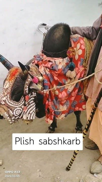 Radhe Vidyo Nanni Mahraj Aayr Dvarpar Youtube