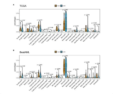 Tp53 Mutation Was Related To Tumor Infiltrating Immune Cells Violin