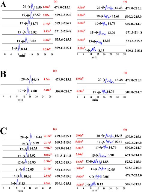 Figure 3 From A New UPLC MS MS Method For The Characterization And Discrimination Of