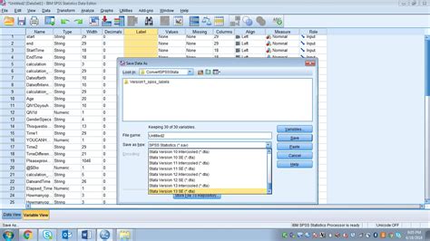 Converting Data Into Spss Andor Stata — Kobotoolbox Documentation