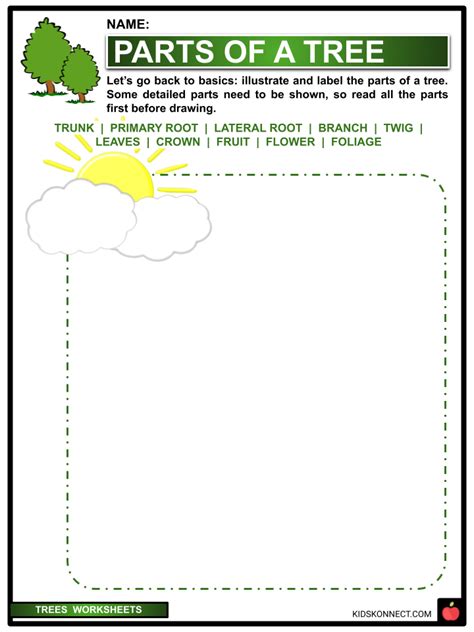 Trees Facts And Worksheets And Examples Pdf Download