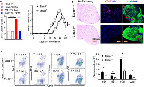 Steap4 Promotes Actively Induced Eae A Microarray Analysis Of Steap4