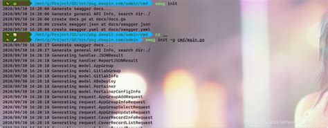 Go Gin框架 使用swagger生成api文档golang Swagger Docjson Csdn博客