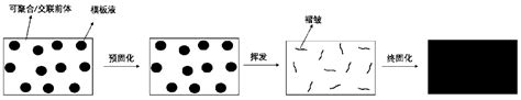 Reversible Dynamic Macroporous Elastomer Polymer Material And